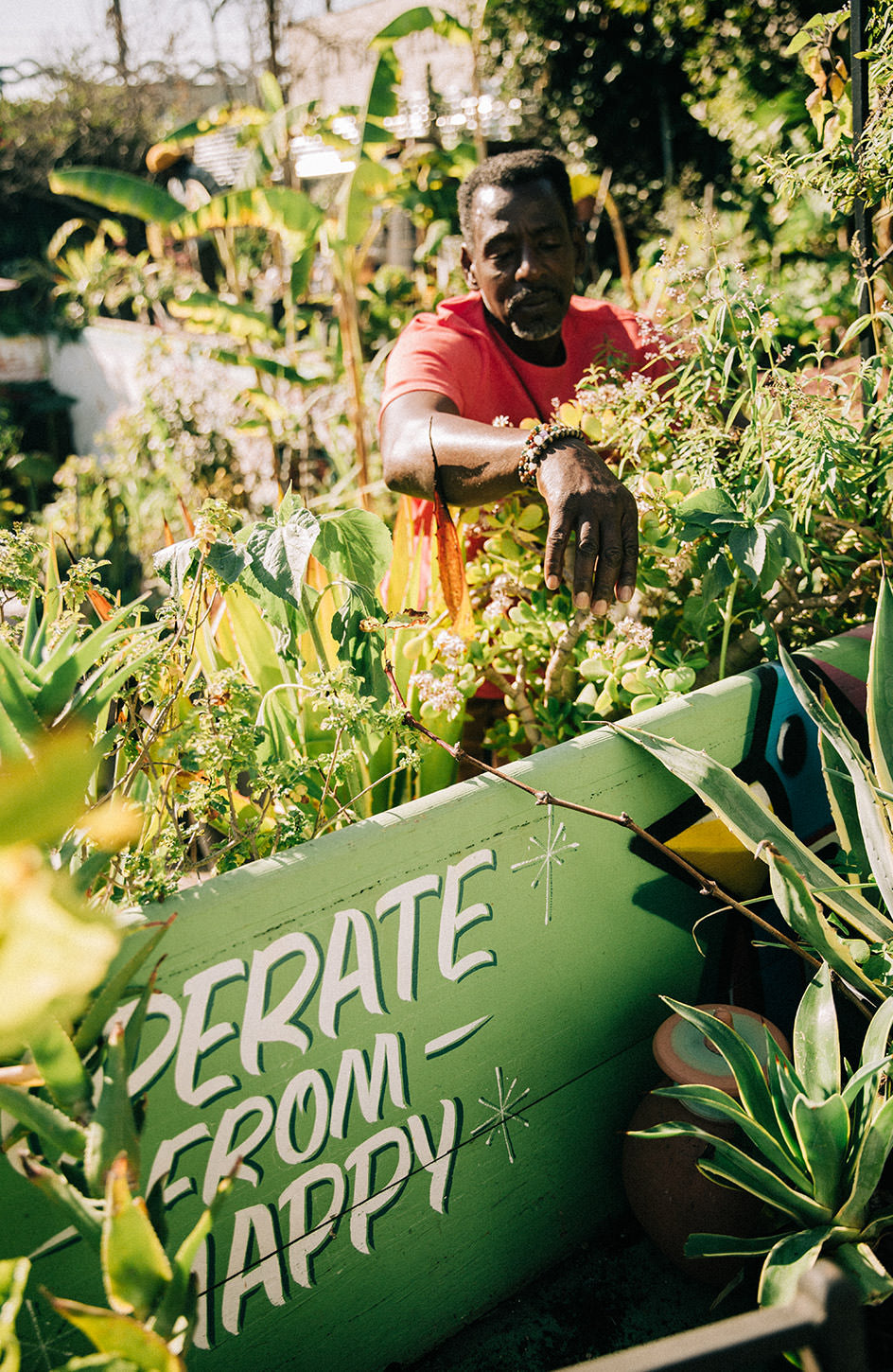 Taylor Stitch x Ron Finley Collab - Digging In Capsule | Dispatch