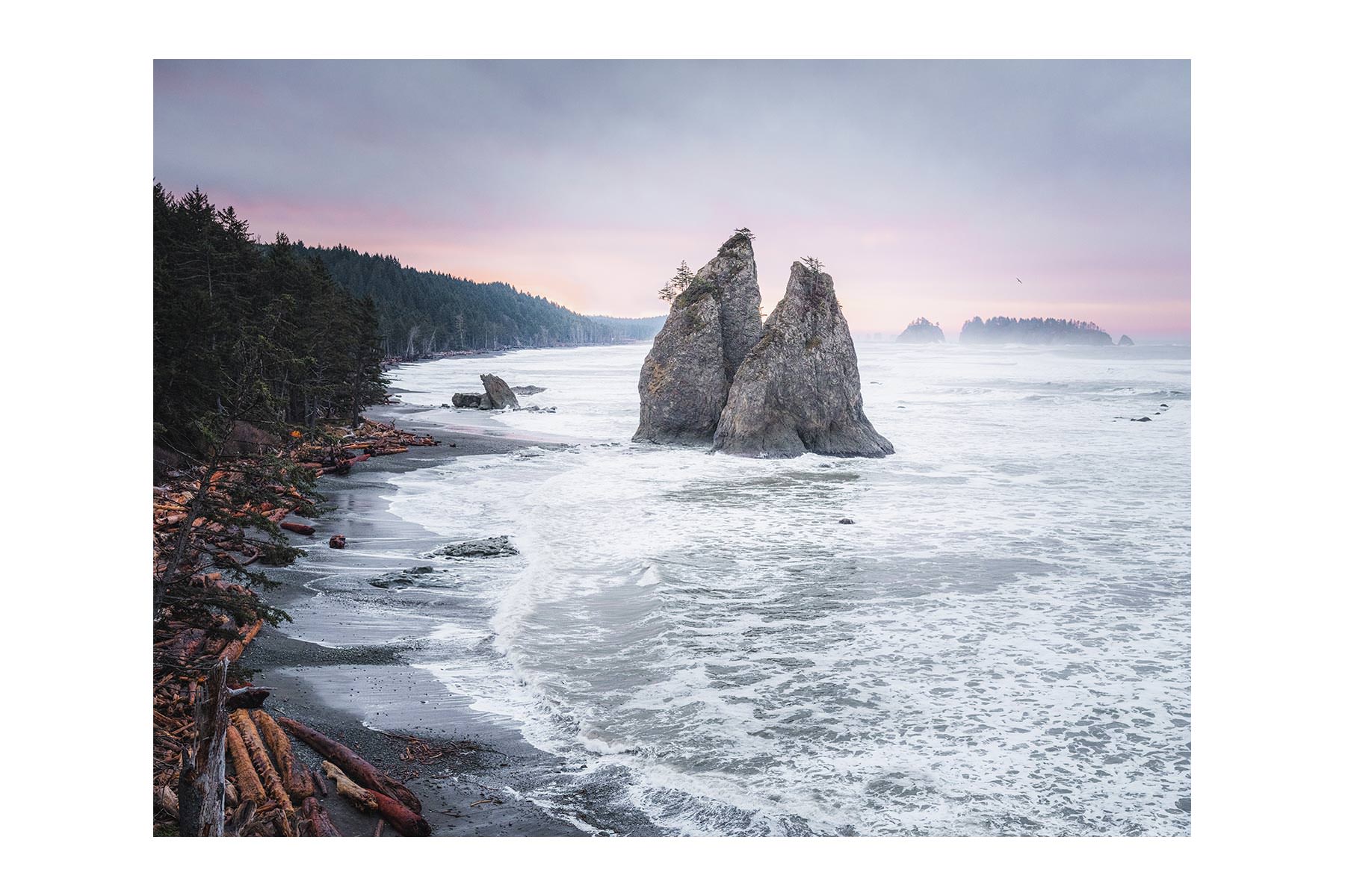 Whaley's World - An Interview With Brent Whaley | Taylor Stitch Journal