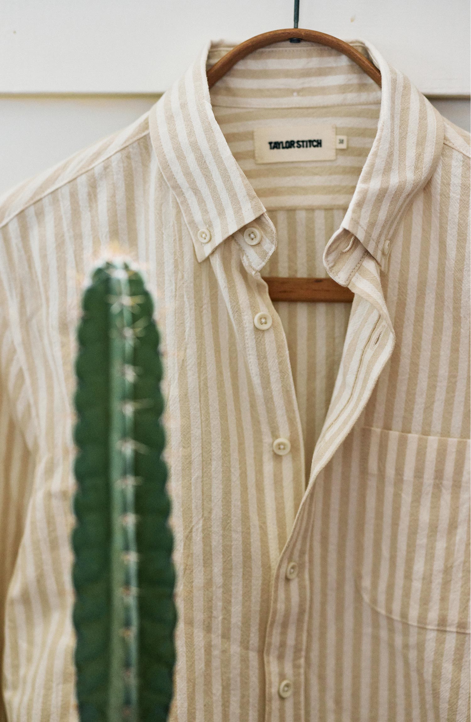 The Jack in Dried Cacti Stripe | Taylor Stitch - Classic Men’s Clothing