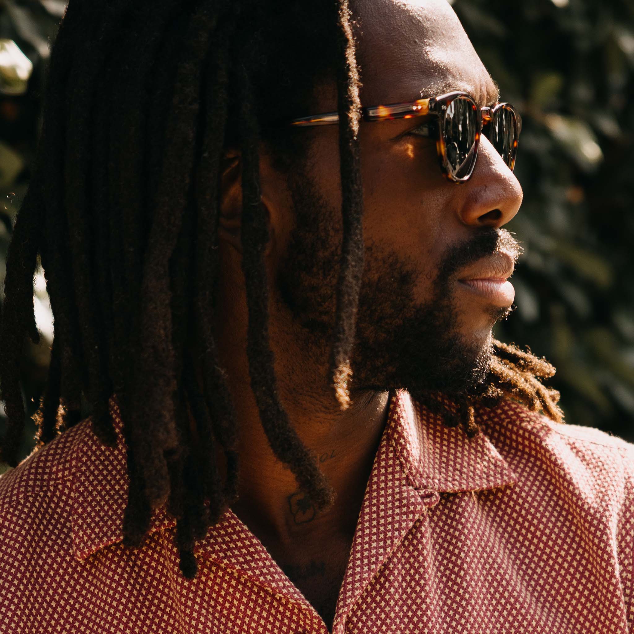 The Legend Allyn Scura Sunglasses in Demi Amber | Taylor Stitch